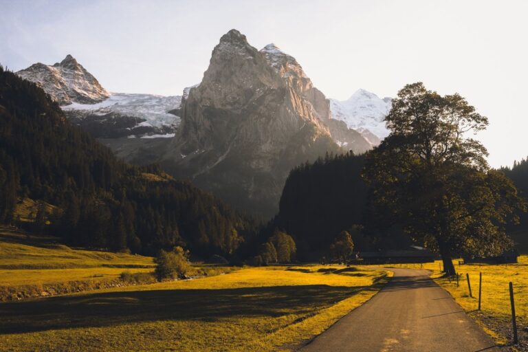 25 BEST Things To Do In Grindelwald In Summer