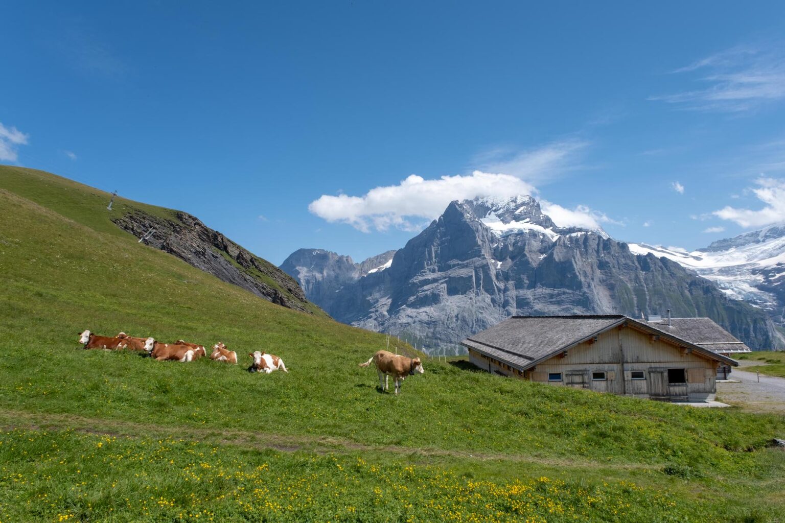 25 BEST Things To Do In Grindelwald In Summer