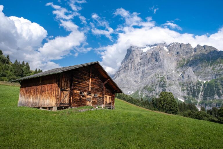 25 BEST Things To Do In Grindelwald In The Summer