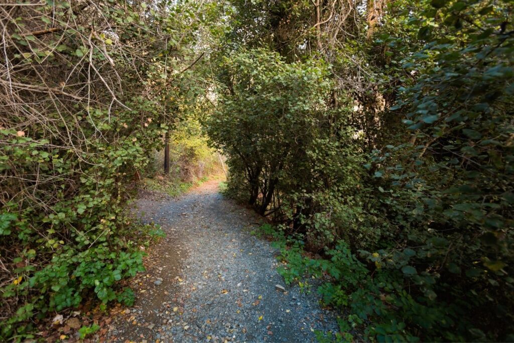 15 Best Hiking Trails In Cyprus