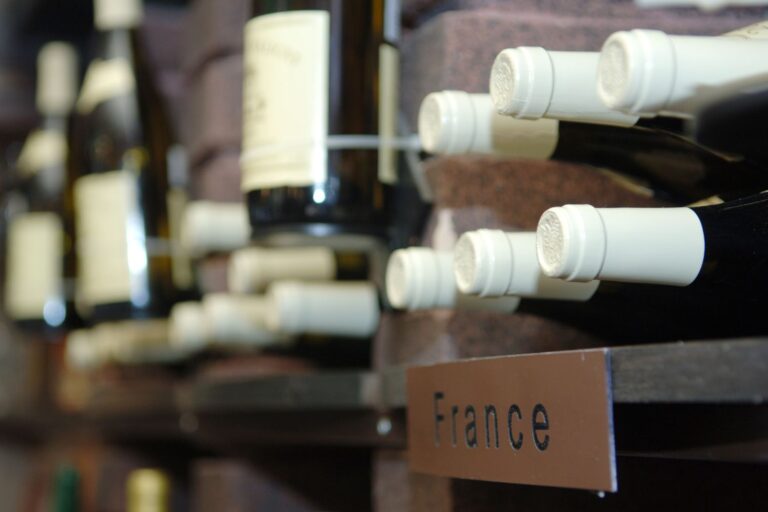 35 FUN & Interesting Facts About France You Should Know!