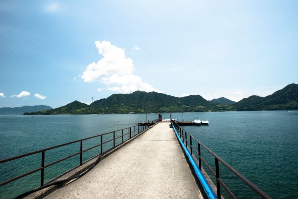 Bunny Island, Japan: 11 Things To Know BEFORE Visiting