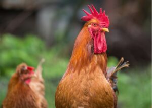 35 FUN & Interesting Facts About France You Should Know!