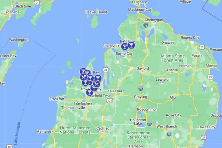 25+ BEST Michigan Wineries You Should Visit