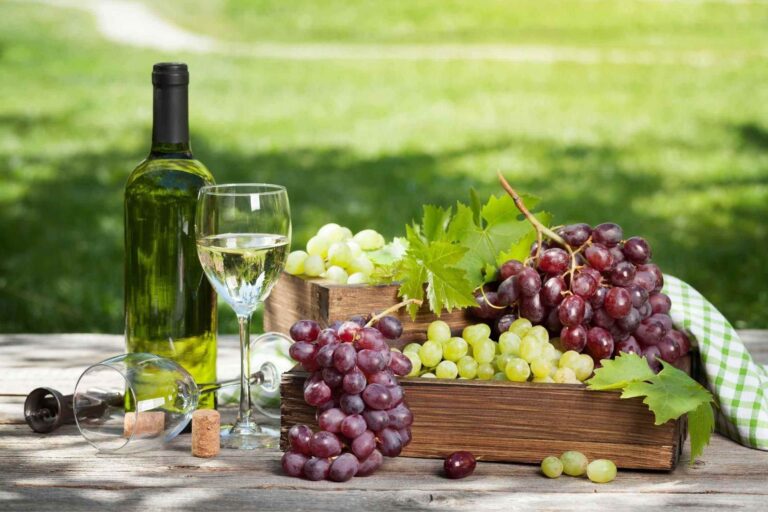 25+ BEST Wineries In Michigan You Should Visit
