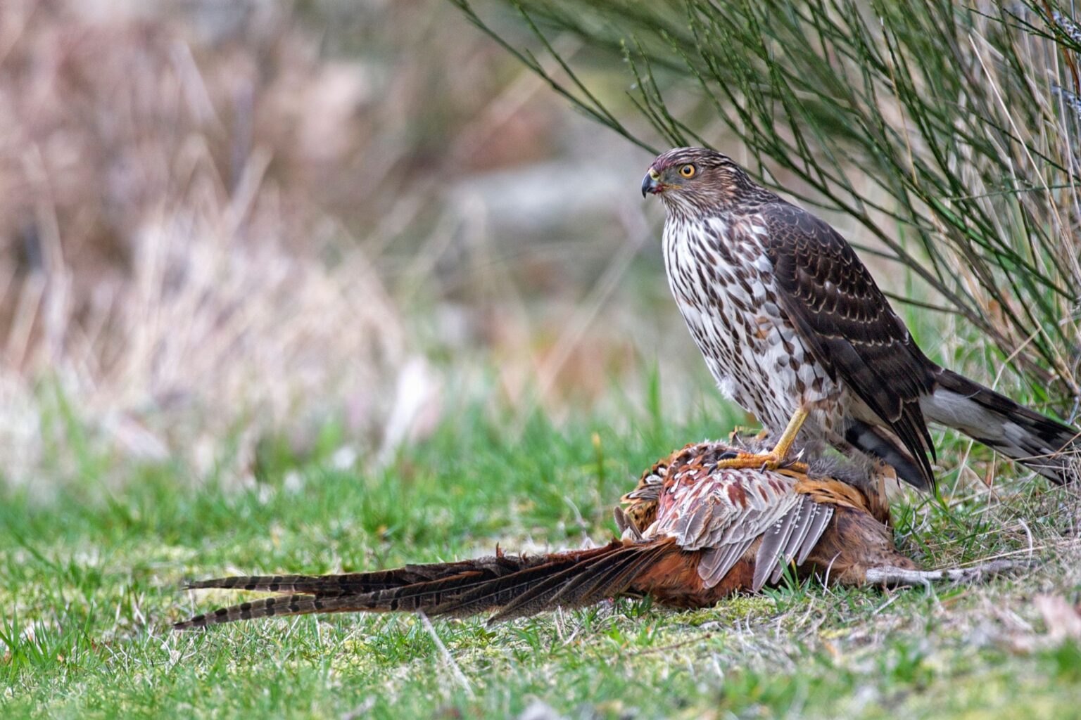 26 BEST Things To Do In Key Largo
