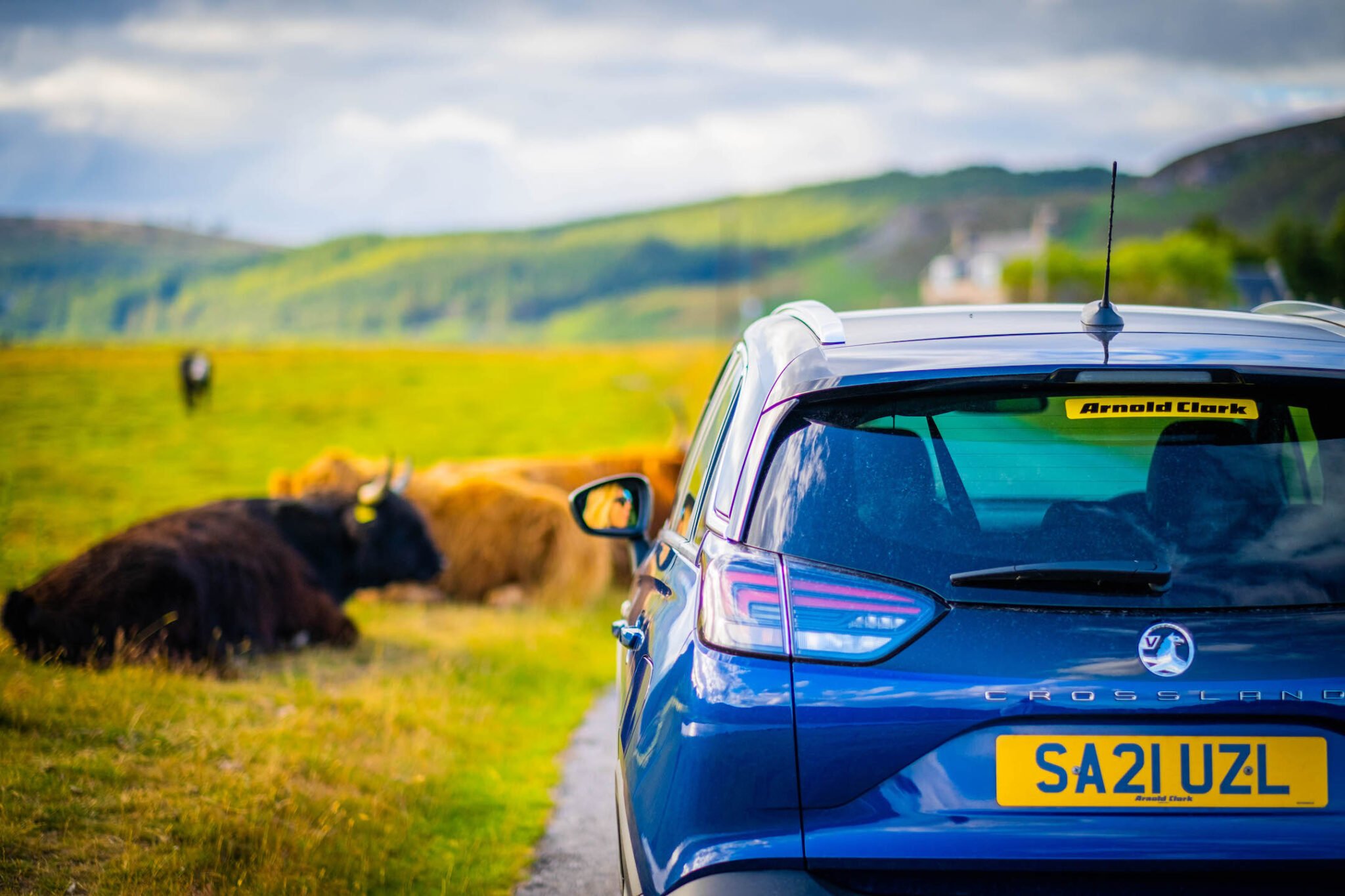 Driving In Scotland? Here Are 13 HELPFUL Tips