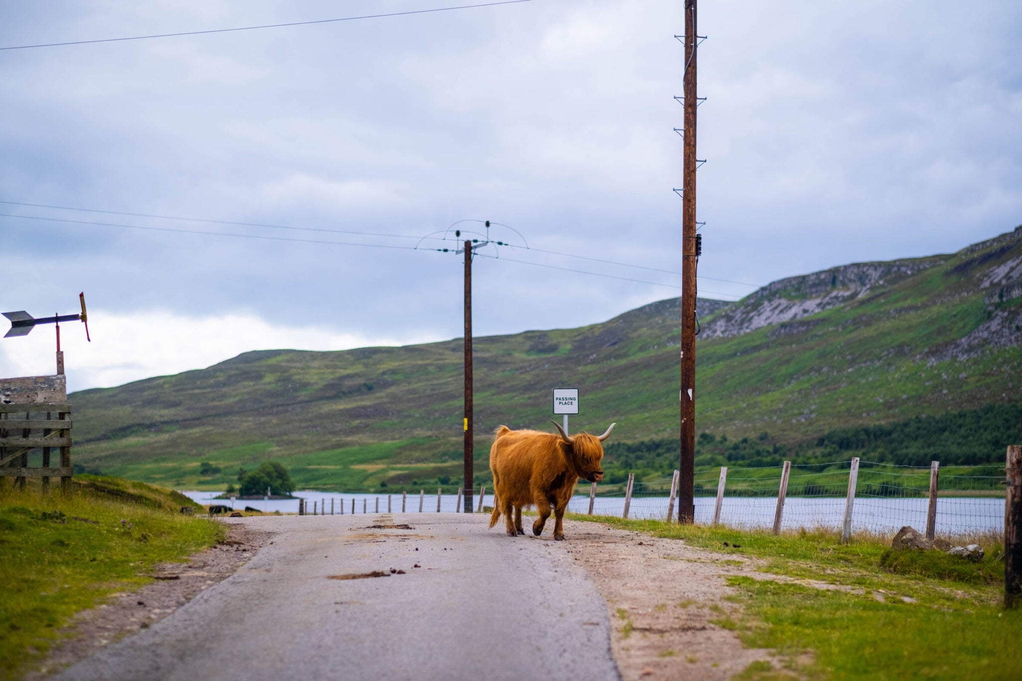 Driving In Scotland? Here Are 13 HELPFUL Tips