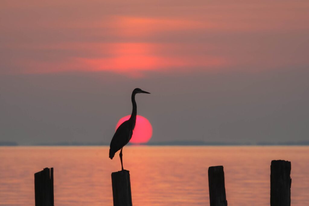 35 BEST Places To Visit In September In 2023