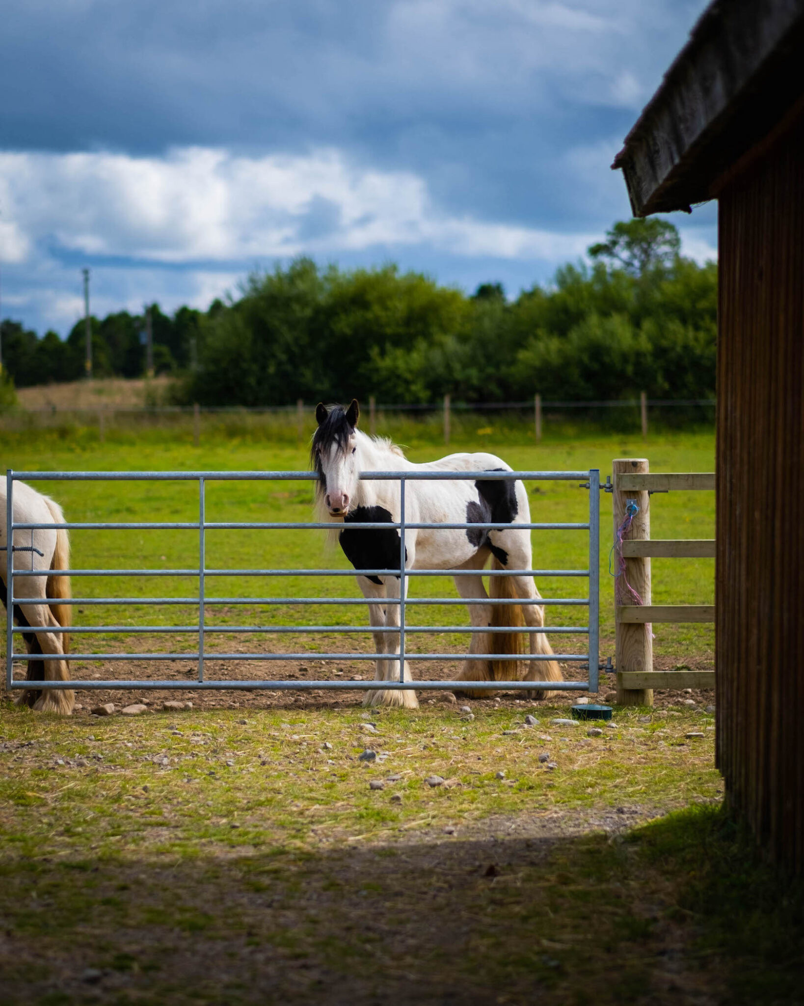 12 Best Things To Do In Brora (Scotland)