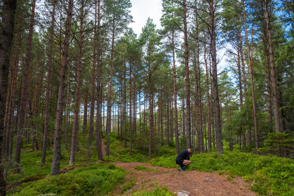 12 Best Things To Do In Brora (Scotland)