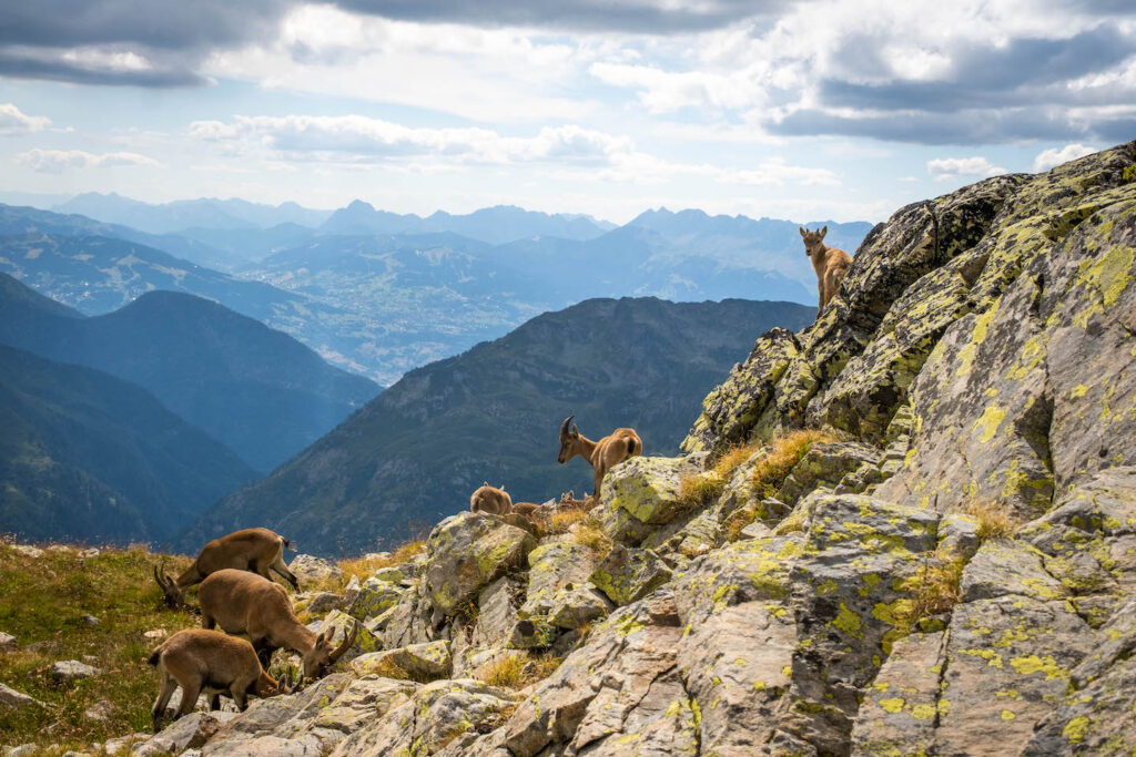 35 BEST Things To Do In Chamonix (France)