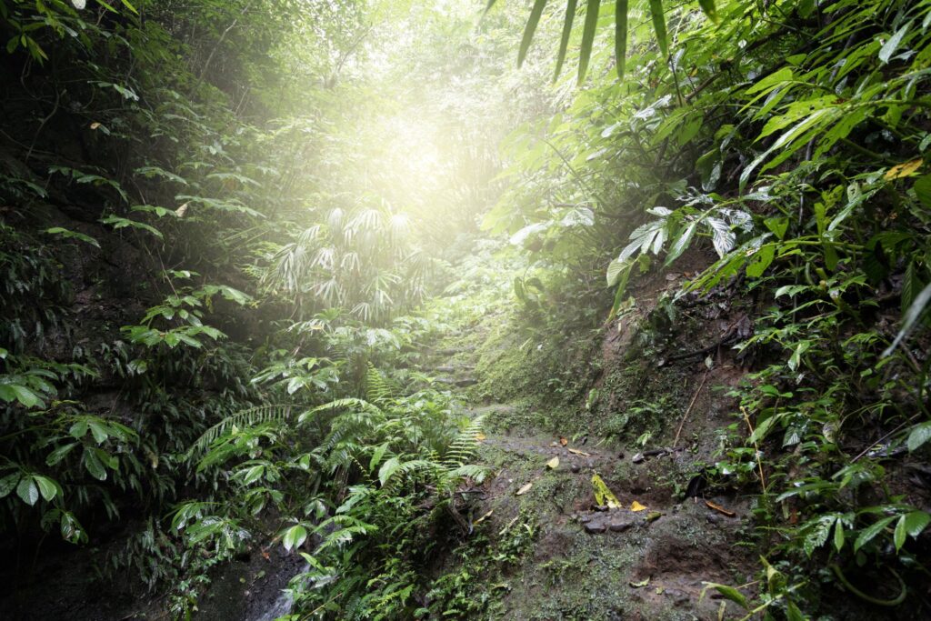 30 FUN Facts About Bali You Will Love!