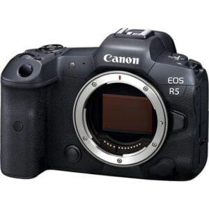10 BEST Safari Cameras and Lenses
