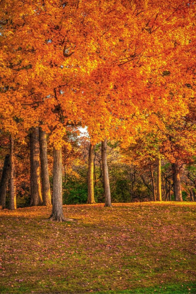 23 BEST Places To See Michigan Fall Colors In 2023