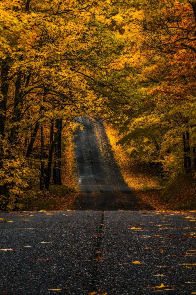 23 BEST Places To See Michigan Fall Colors In 2023
