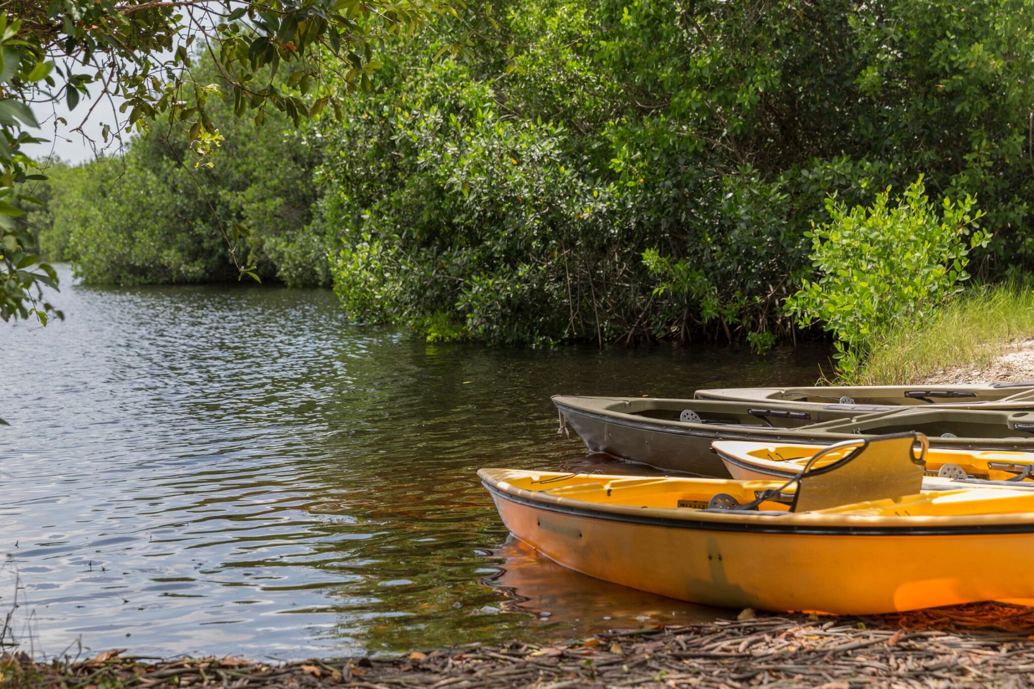 26 BEST Things To Do In Key Largo