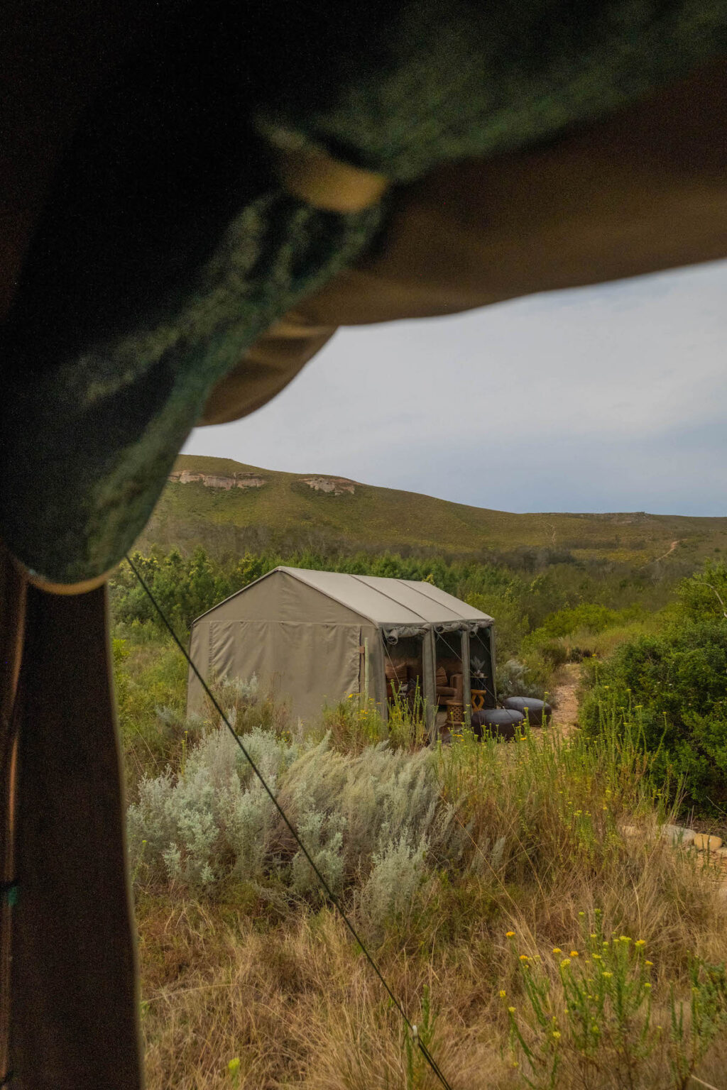 Walking The New Pioneer Trail At Gondwana Game Reserve