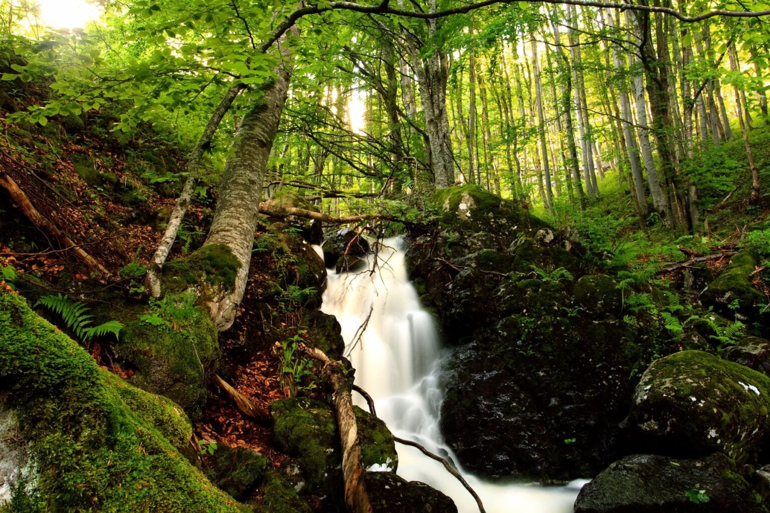 34 FUN And Interesting Facts About Bulgaria To Know