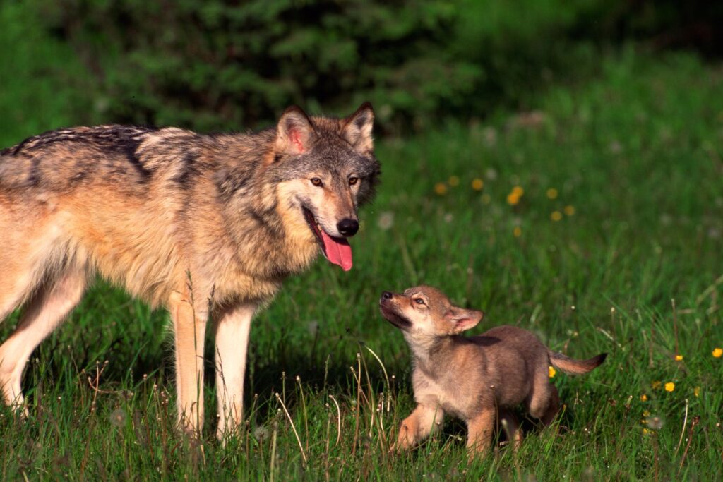 34 FUN And Interesting Facts About Bulgaria To Know