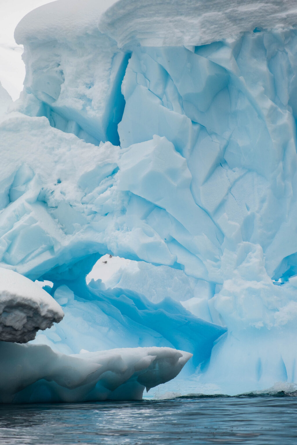 50 FUN & Interesting Facts About Antarctica