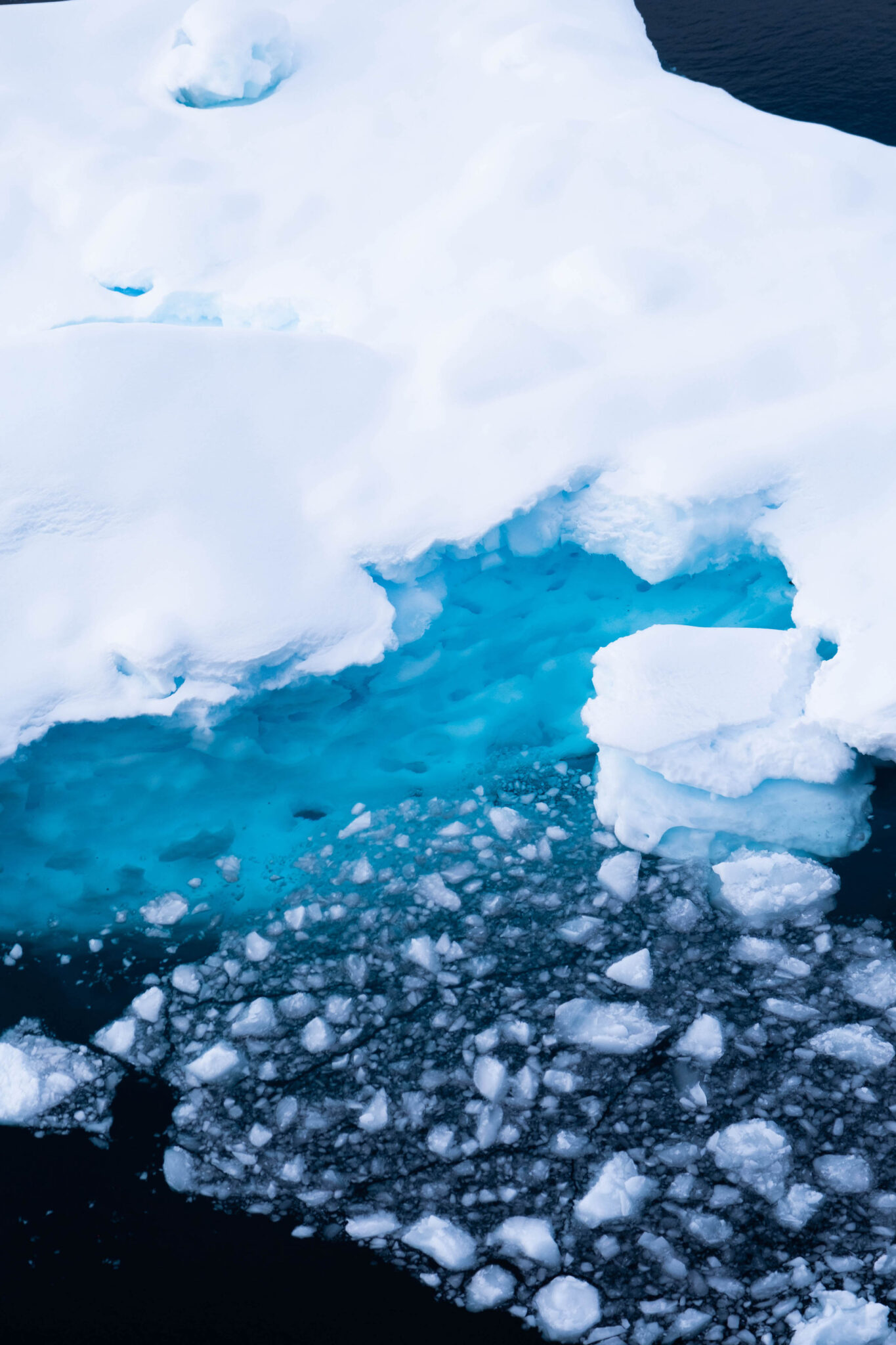 50 FUN & Interesting Facts About Antarctica