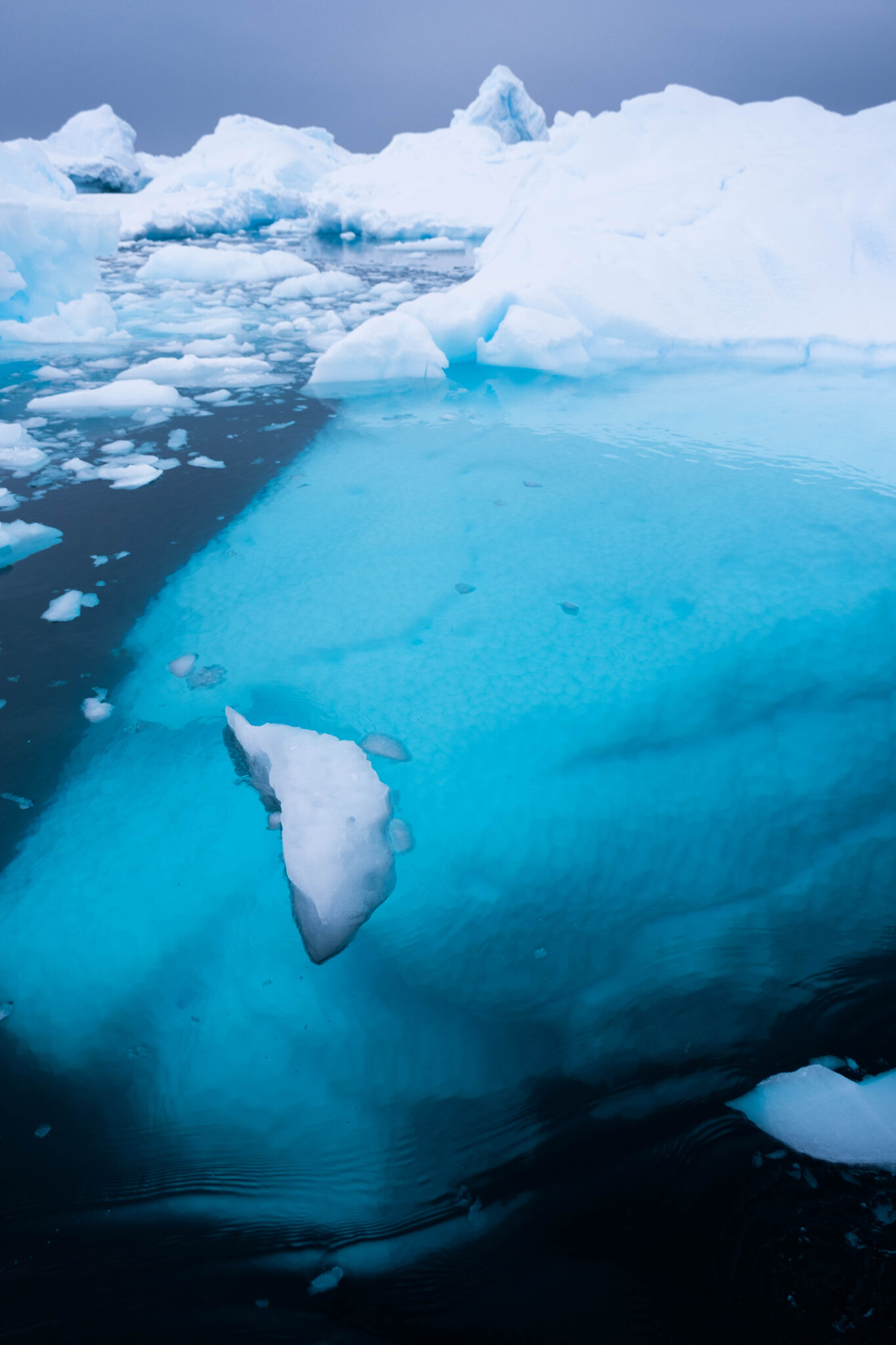 50 FUN & Interesting Facts About Antarctica