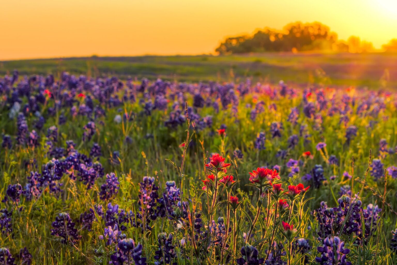26 BEST Places To Visit In March In The USA