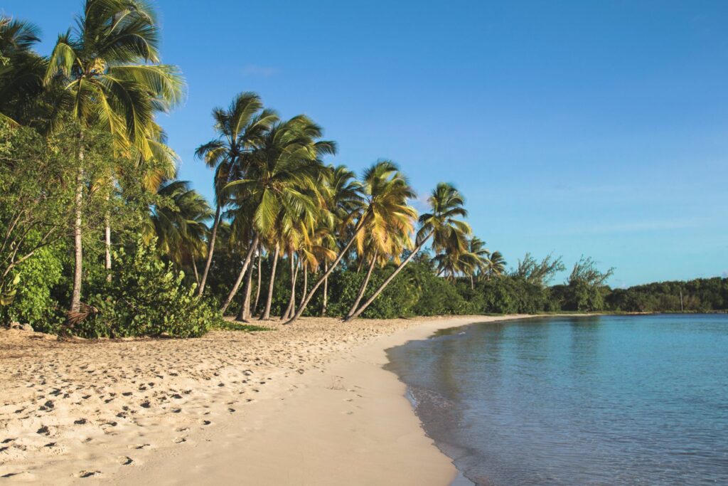 35 BEST Tropical Islands To Visit In The World