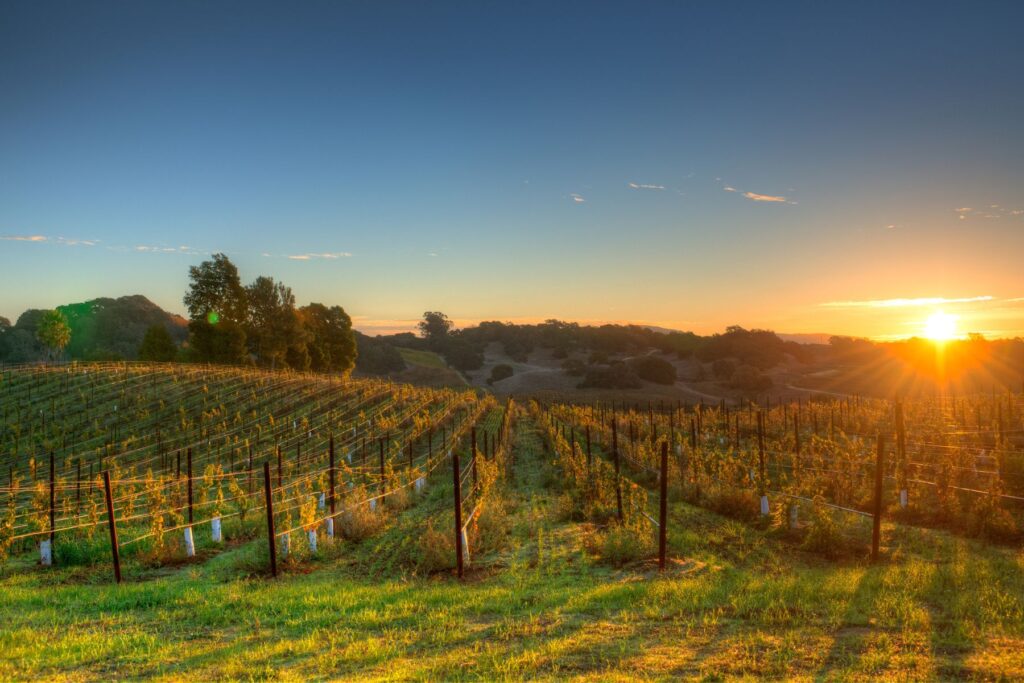 25 BEST Places To Visit In November In The US