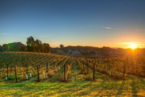 25 BEST Places To Visit In November In The US
