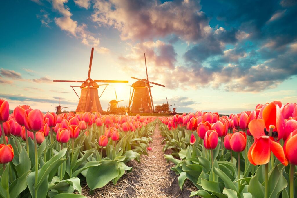 37 BEST Places To Spend Summer In Europe