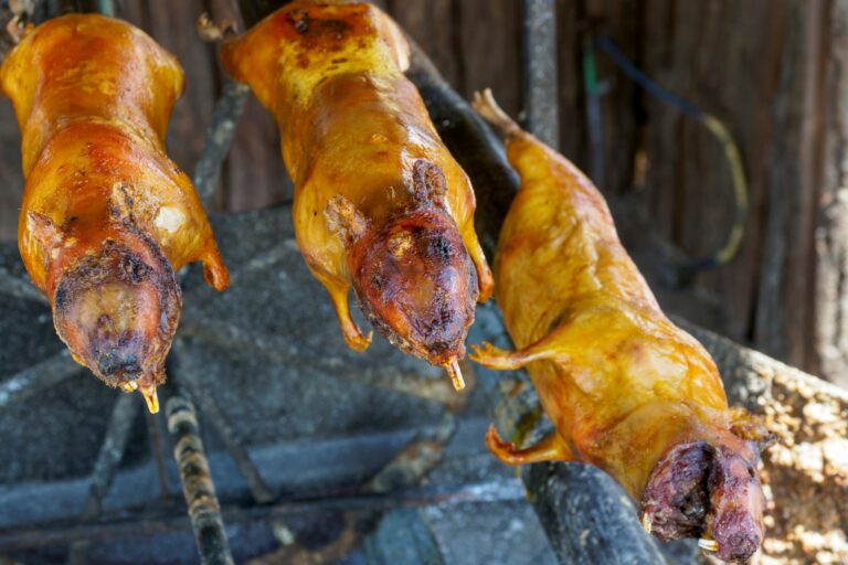 35+ FUN & Interesting Facts About Bolivia