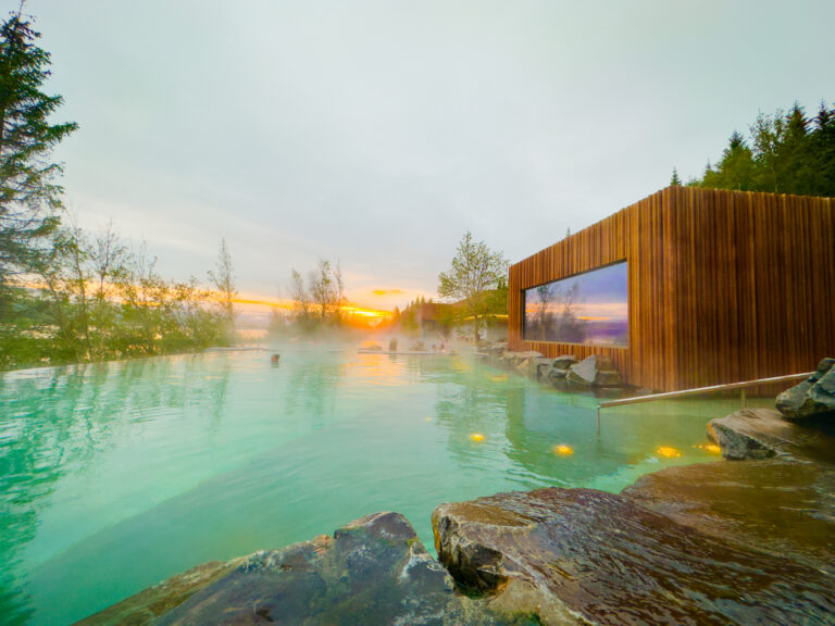 12 Things To Know BEFORE Visiting The Forest Lagoon (Is It Worth It?)