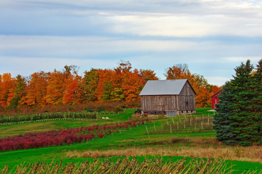 25 BEST Small Towns In Michigan