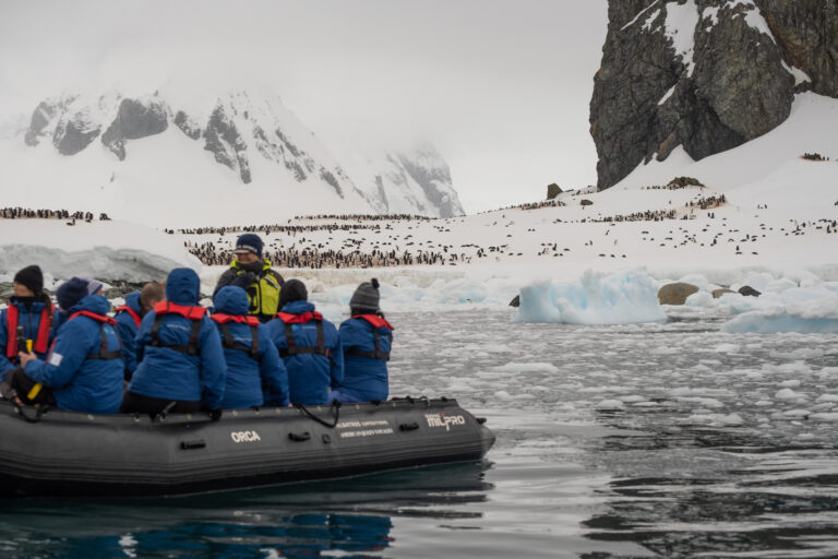 50 FUN & Interesting Facts About Antarctica