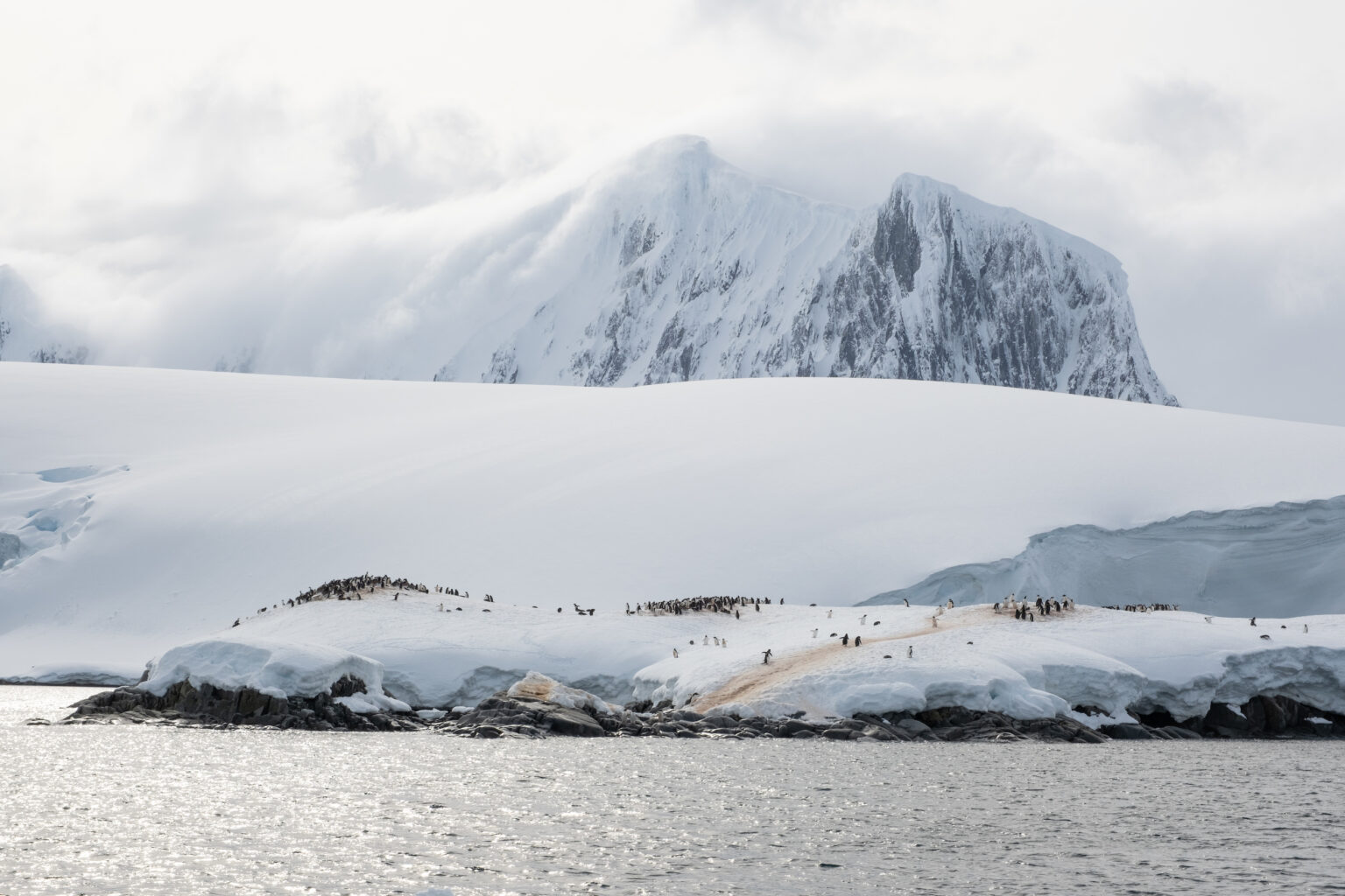 41 Things To Know BEFORE You Travel To Antarctica
