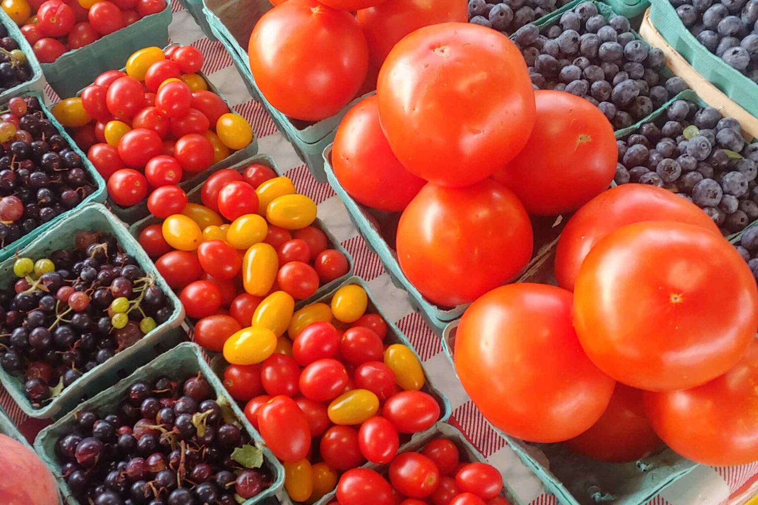 25 BEST Things To Do In Kalamazoo, MI