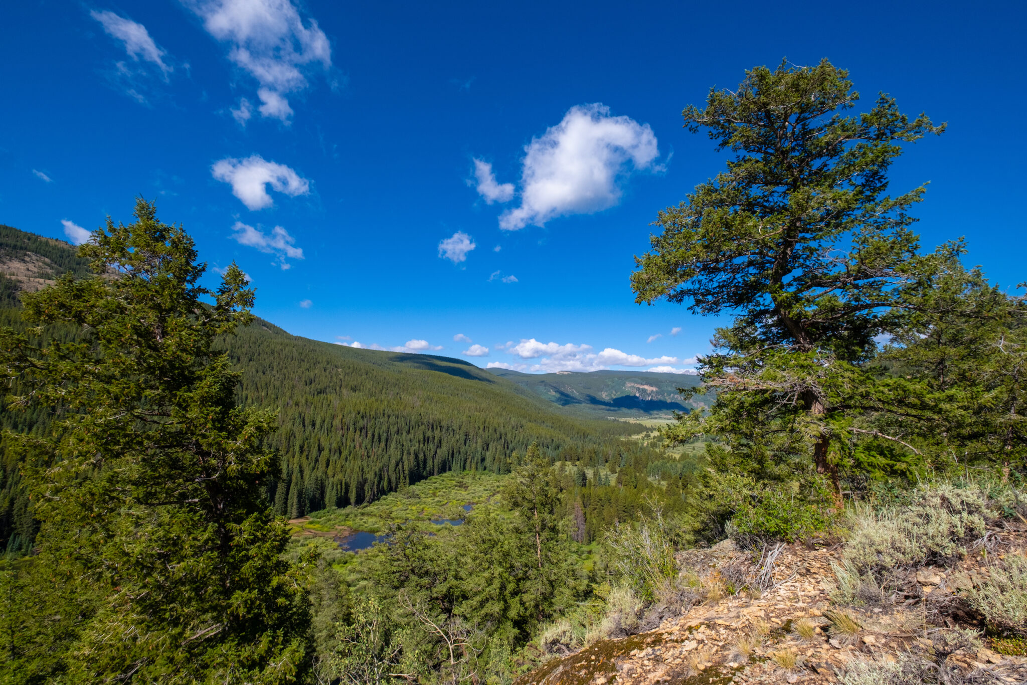 23 BEST Things To Do In Vail In The Summer