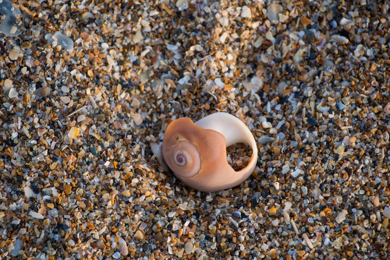 25 BEST Things To Do In Topsail Island, NC