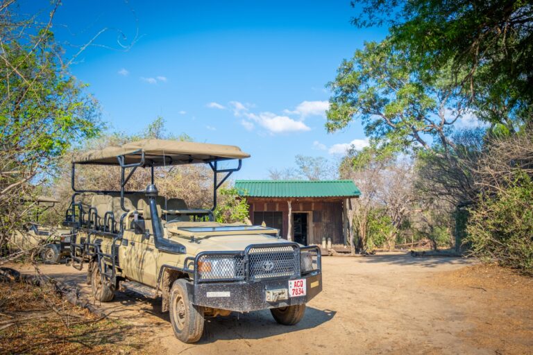 A Magical Safari In Zimbabwe With African Bush Camps