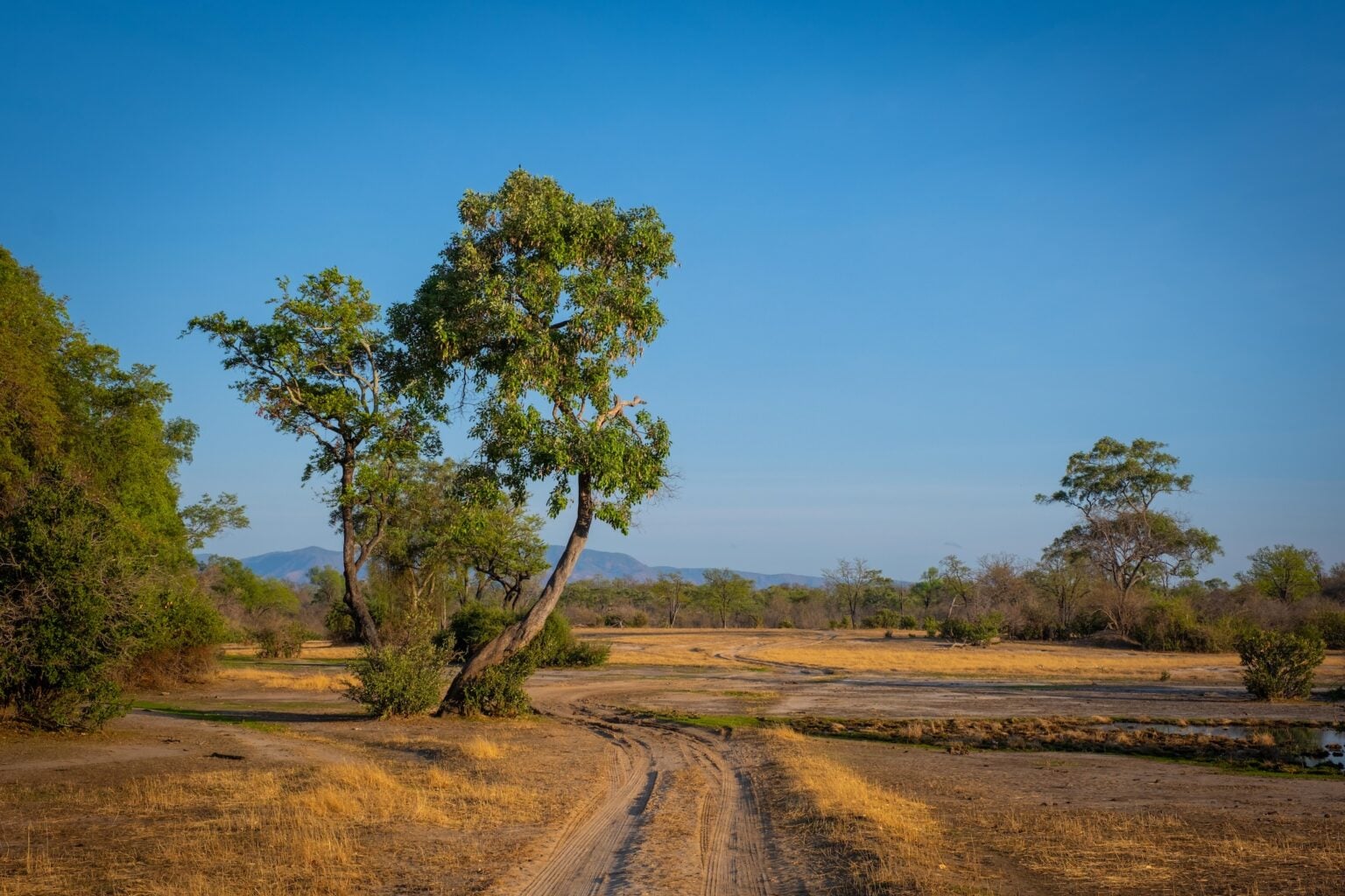 Is Zimbabwe Safe? An Honest Opinion Of Traveling Zimbabwe