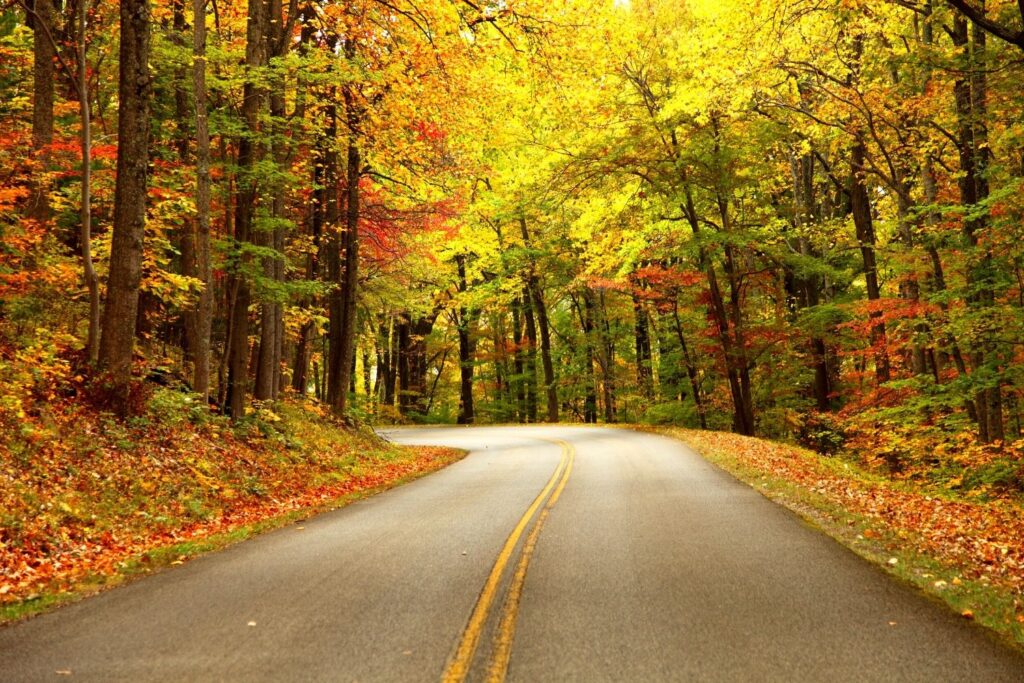 20 Stops Along The Blue Ridge Parkway Drive To Enjoy