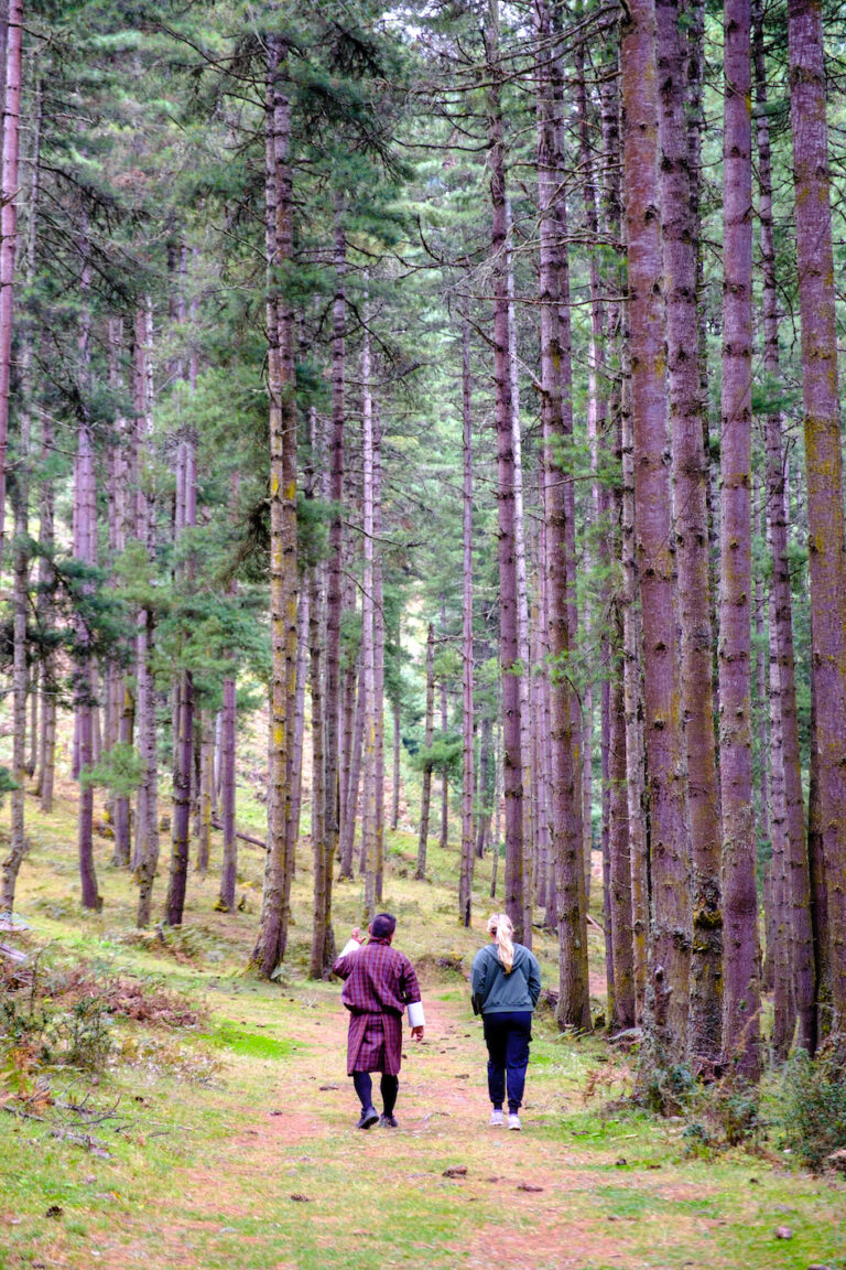 35 FUN & Interesting Facts About Bhutan