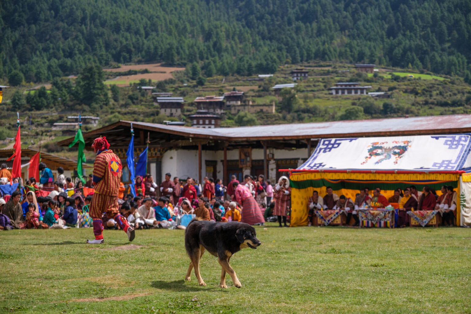 35 FUN & Interesting Facts About Bhutan