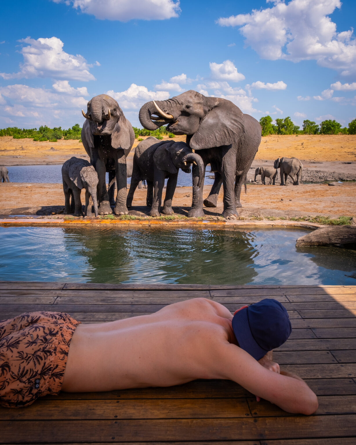 10 BEST Safari Cameras And Lenses In 2024