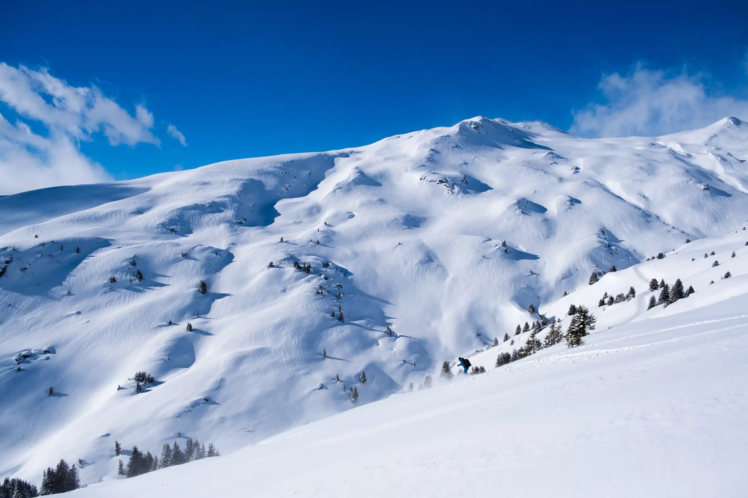 17 Tips For A Perfect Ski Trip To LAAX