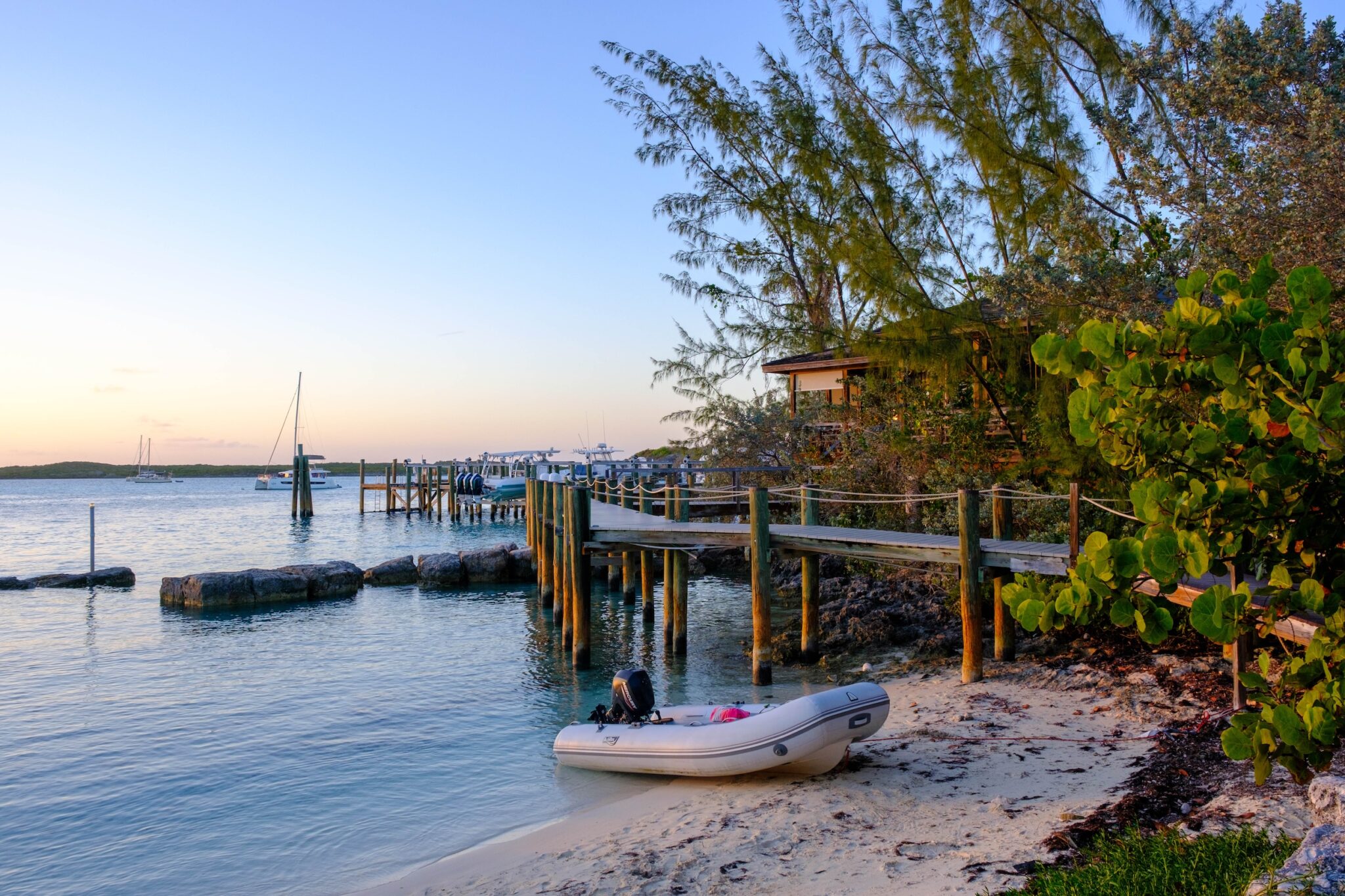 How To See The Famous Swimming Pigs In The Bahamas